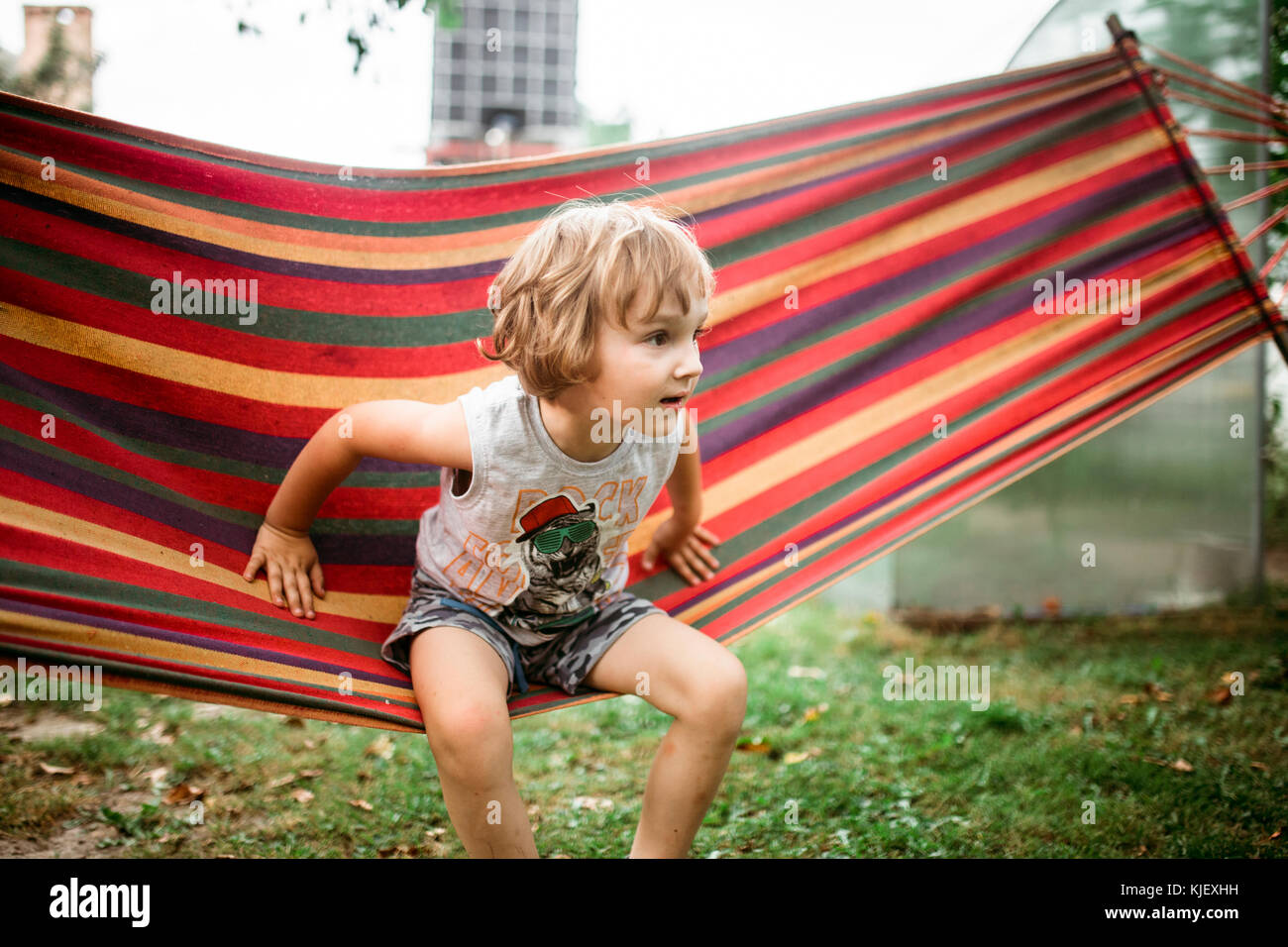 Caucasian boy sitting in hammock Stock Photo - Alamy