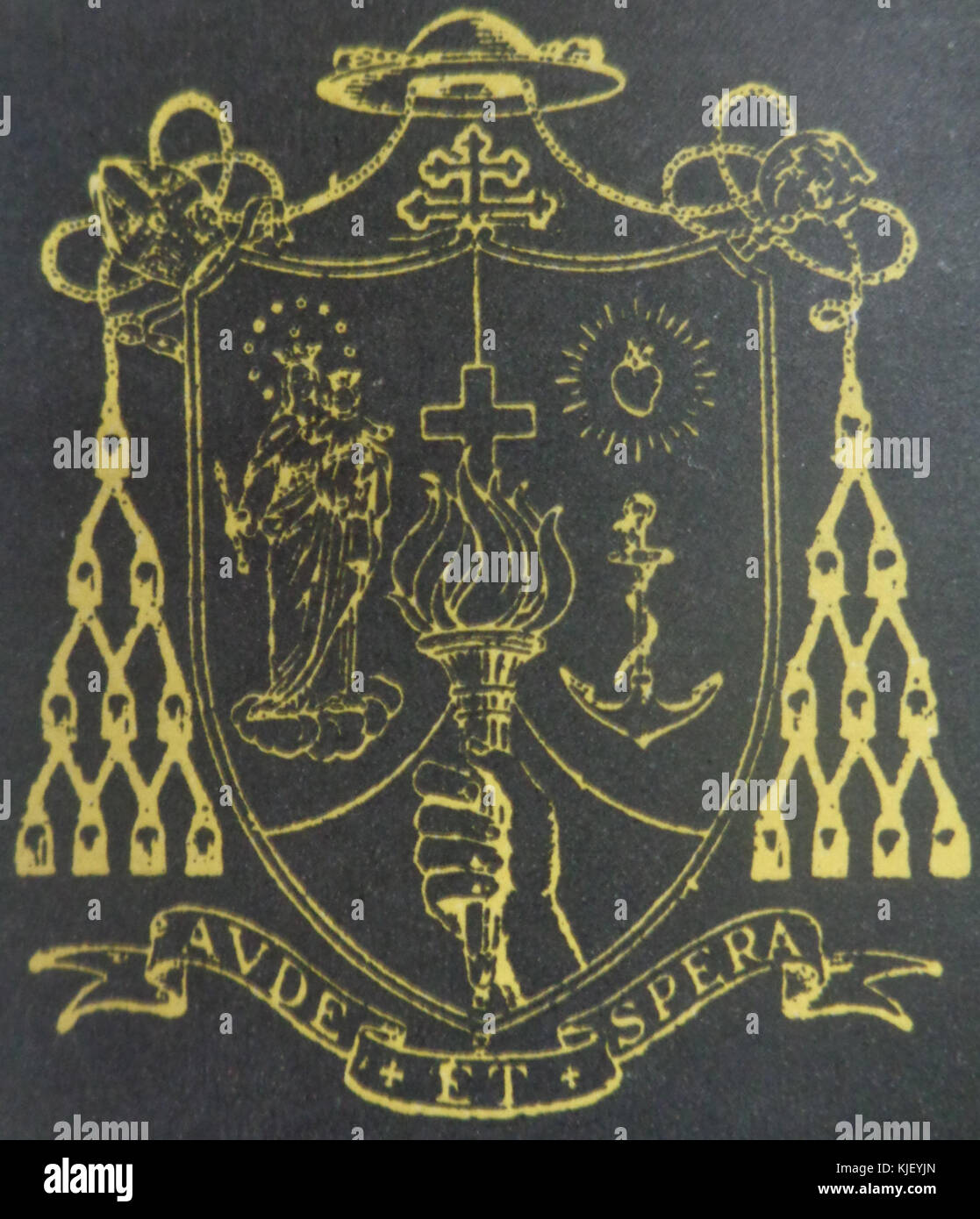 CoA of Archbishop Louis Mathias Stock Photo - Alamy