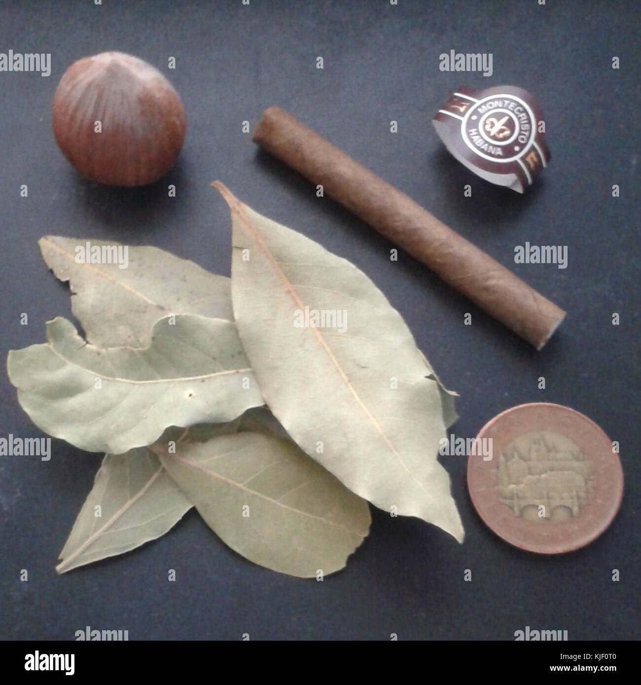 Ceosad's scrap refers to a collection of miscellaneous materials ...