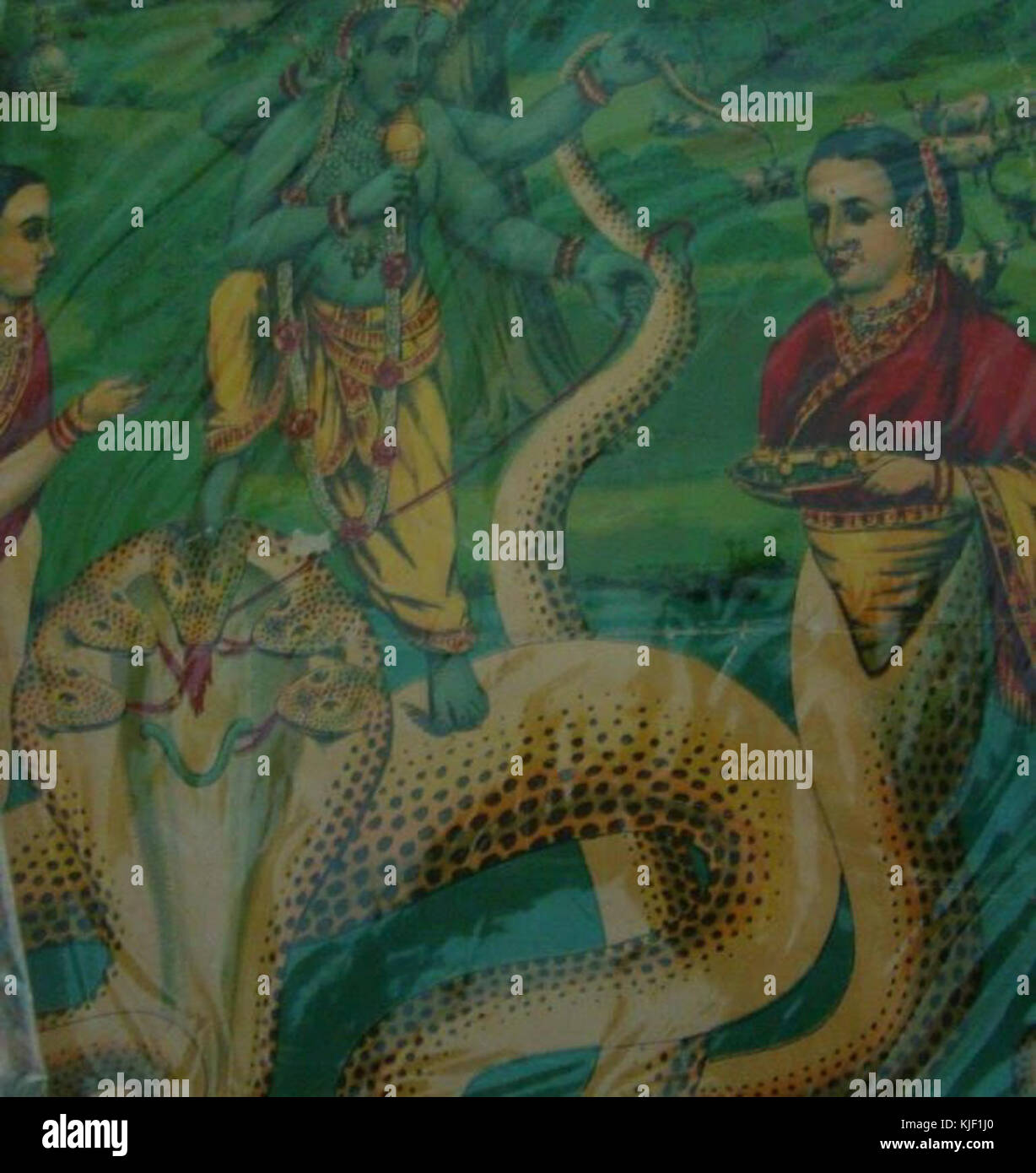 Kaliya hi-res stock photography and images - Alamy