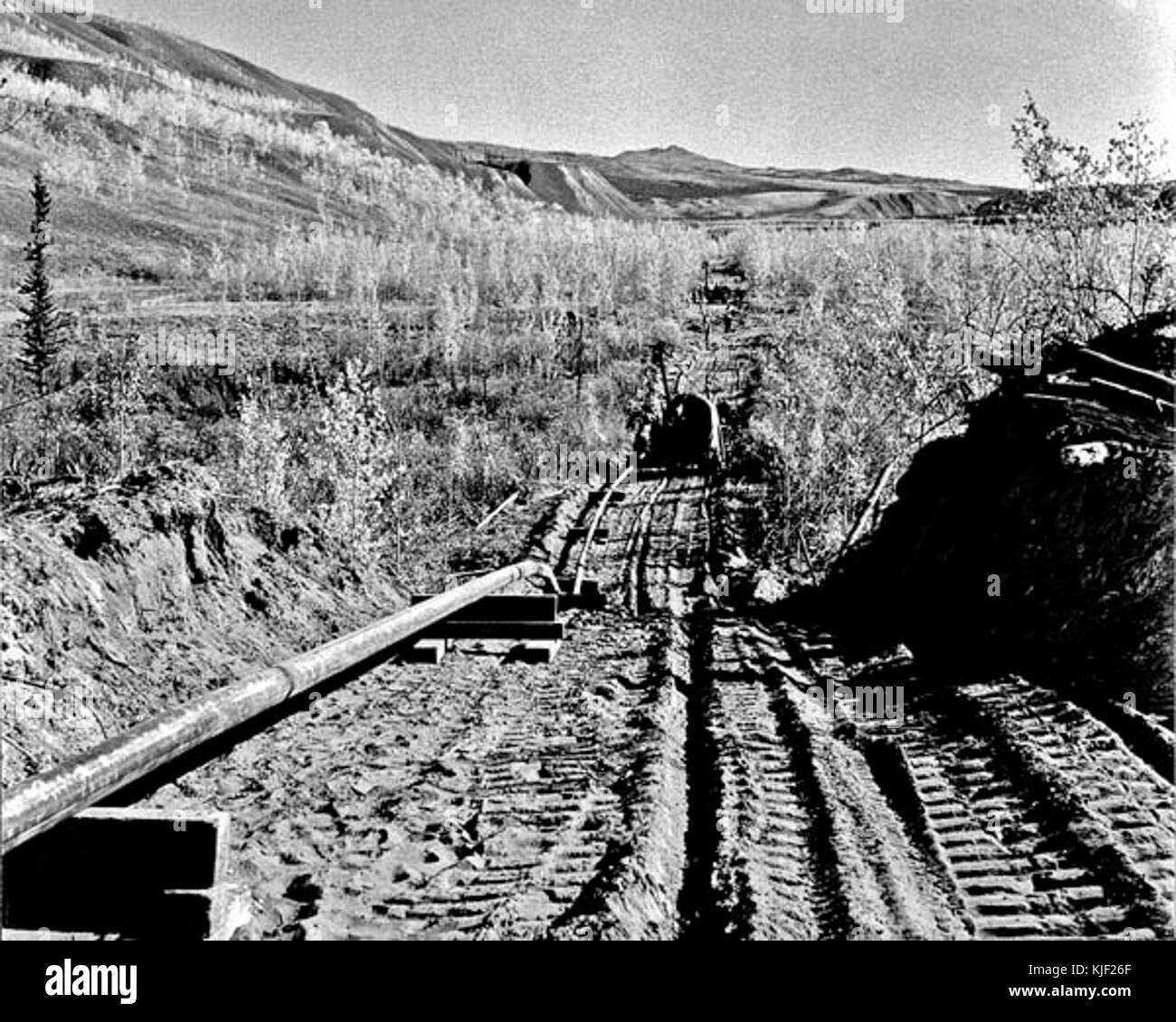 Laying the Canol pipeline a Stock Photo - Alamy