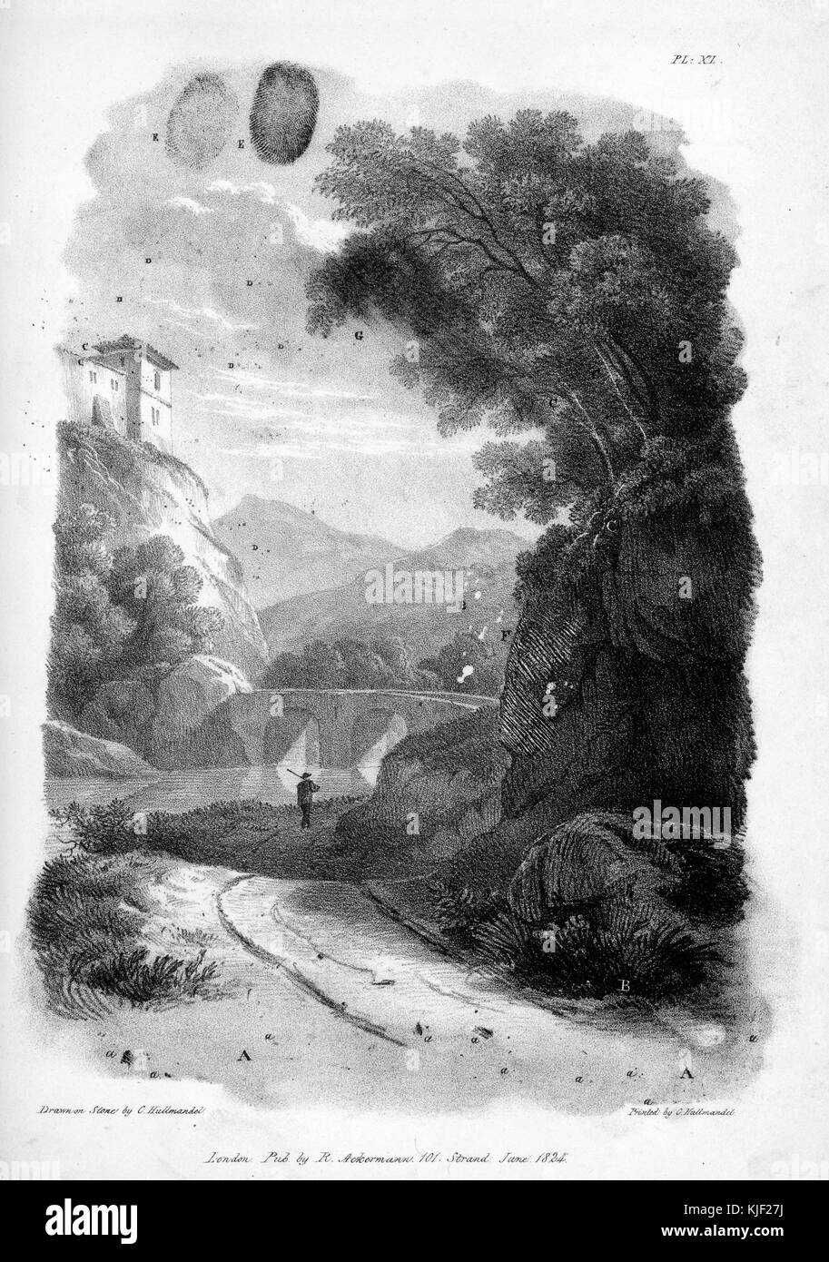 Two trees on walking Black and White Stock Photos & Images - Alamy