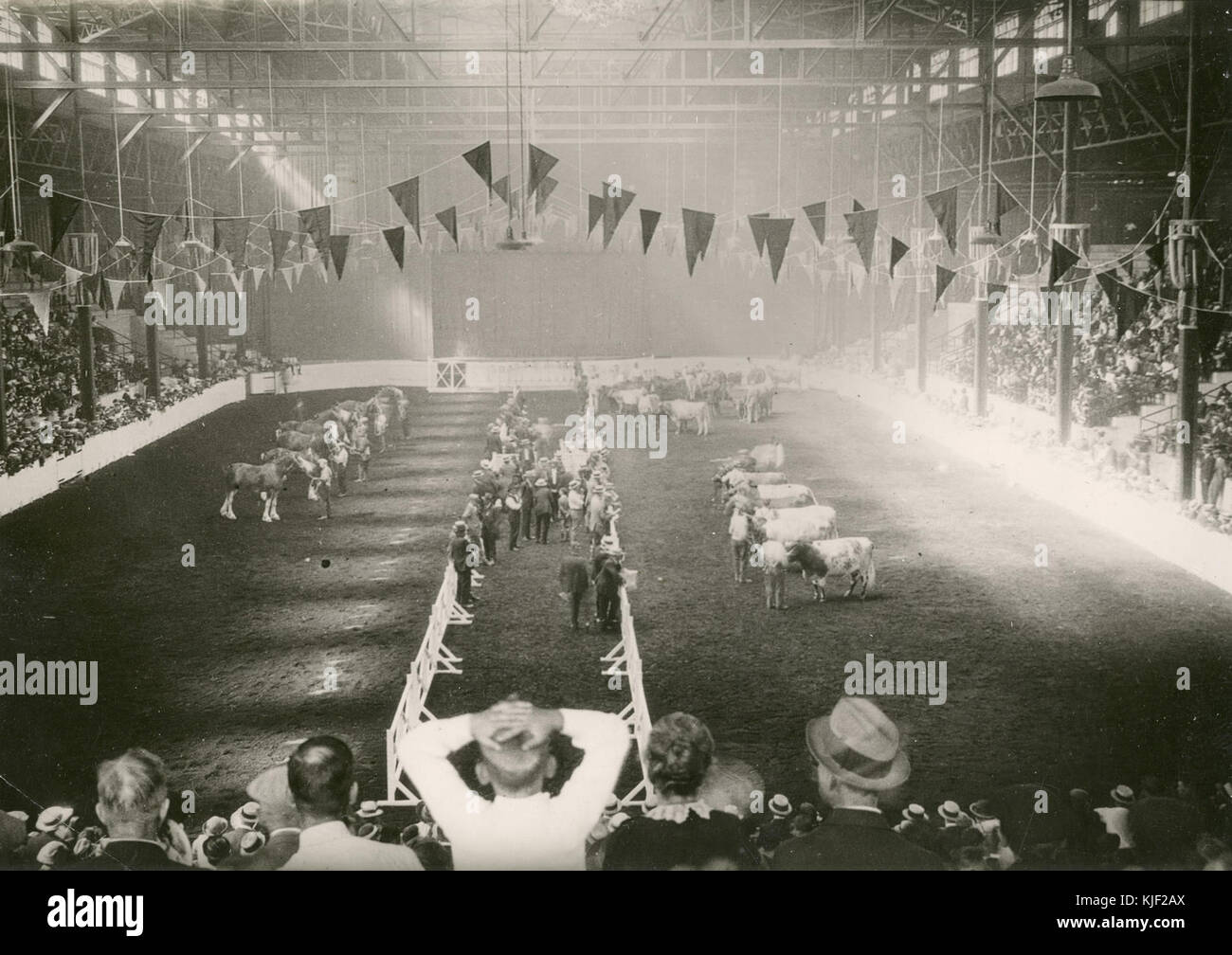 Coliseum interior hi-res stock photography and images - Alamy