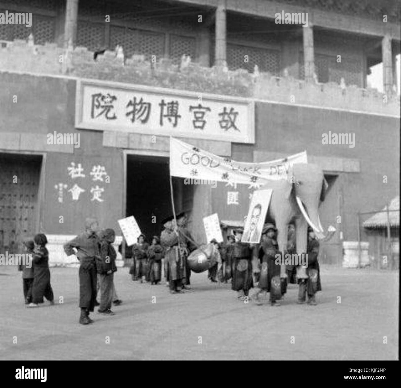 Good Luck Dewey2 Stock Photo - Alamy