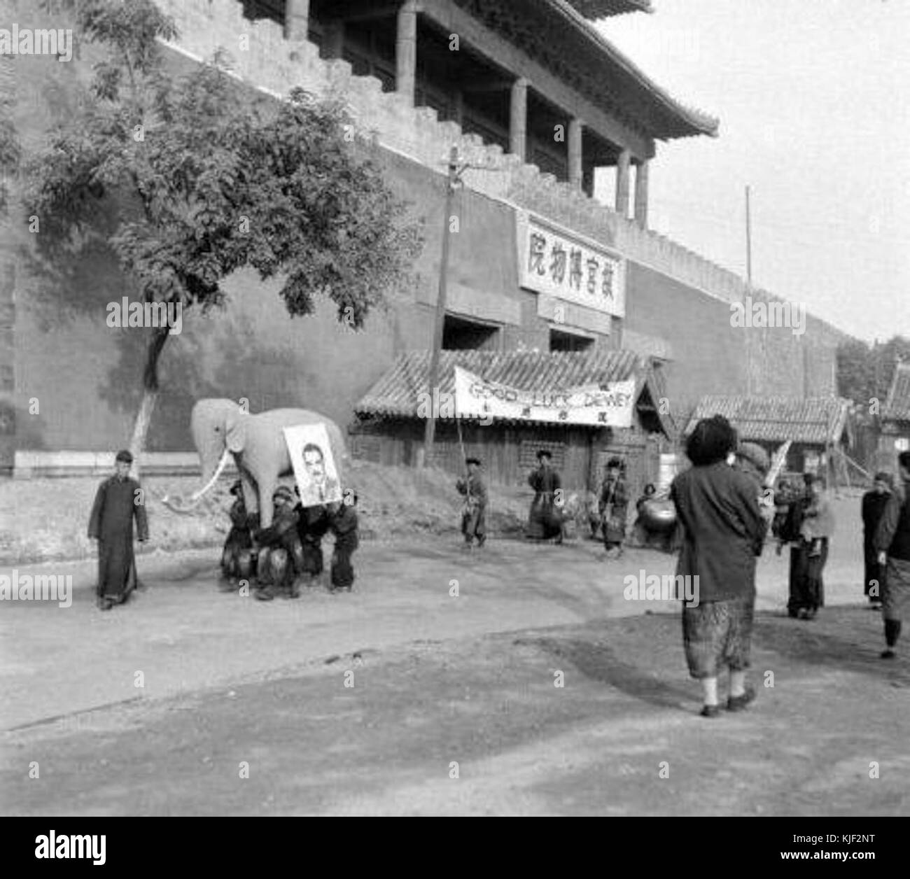 Good Luck Dewey3 Stock Photo - Alamy