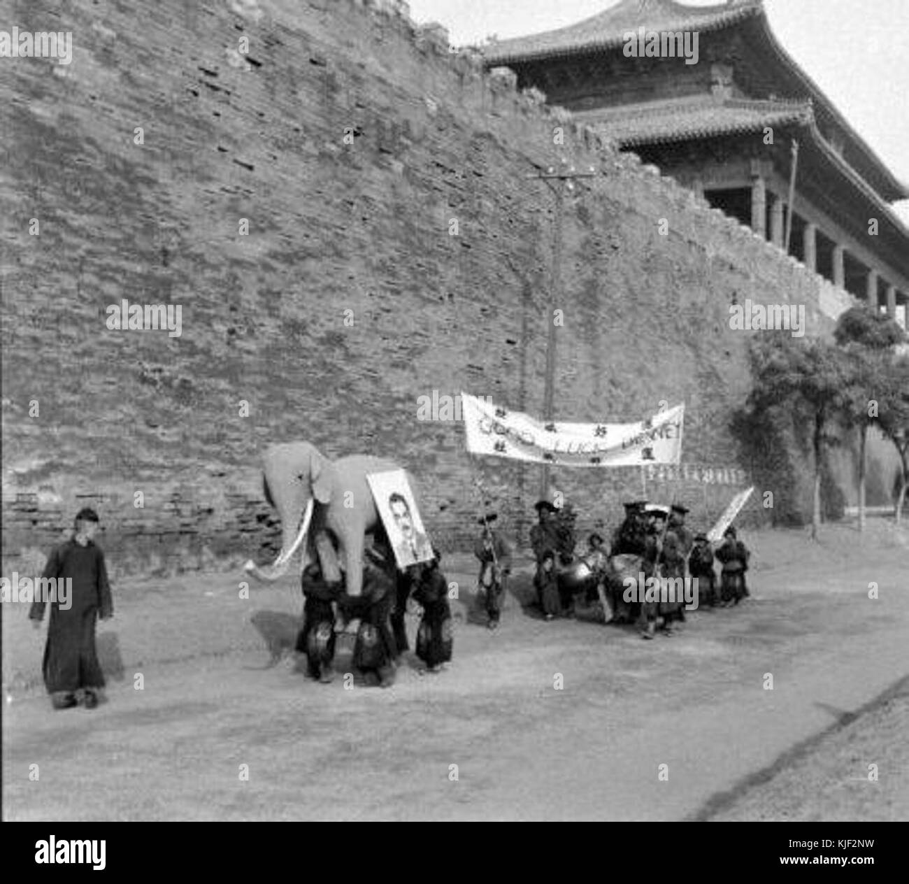 Good Luck Dewey4 Stock Photo - Alamy