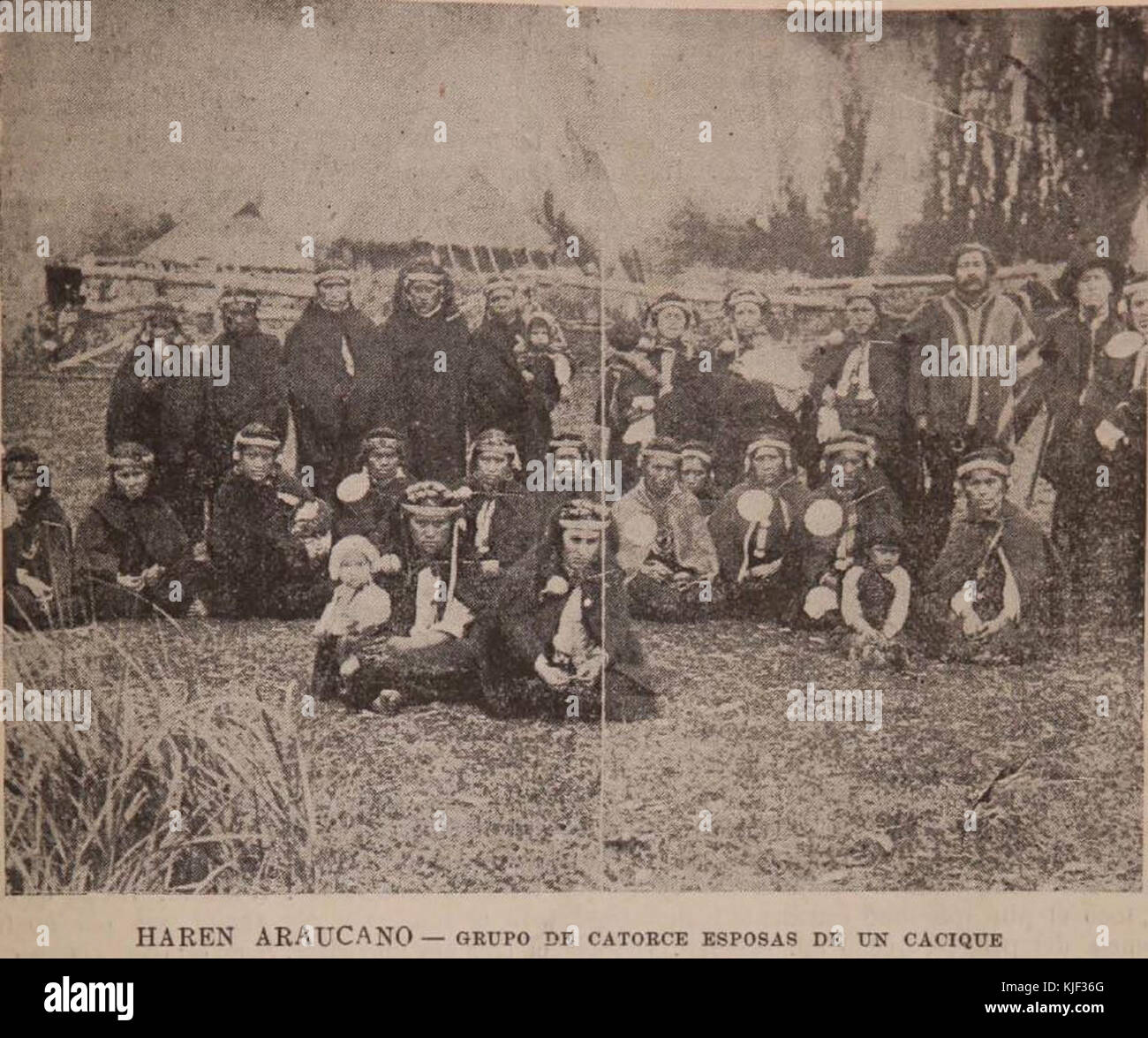 Araucano hi-res stock photography and images - Alamy