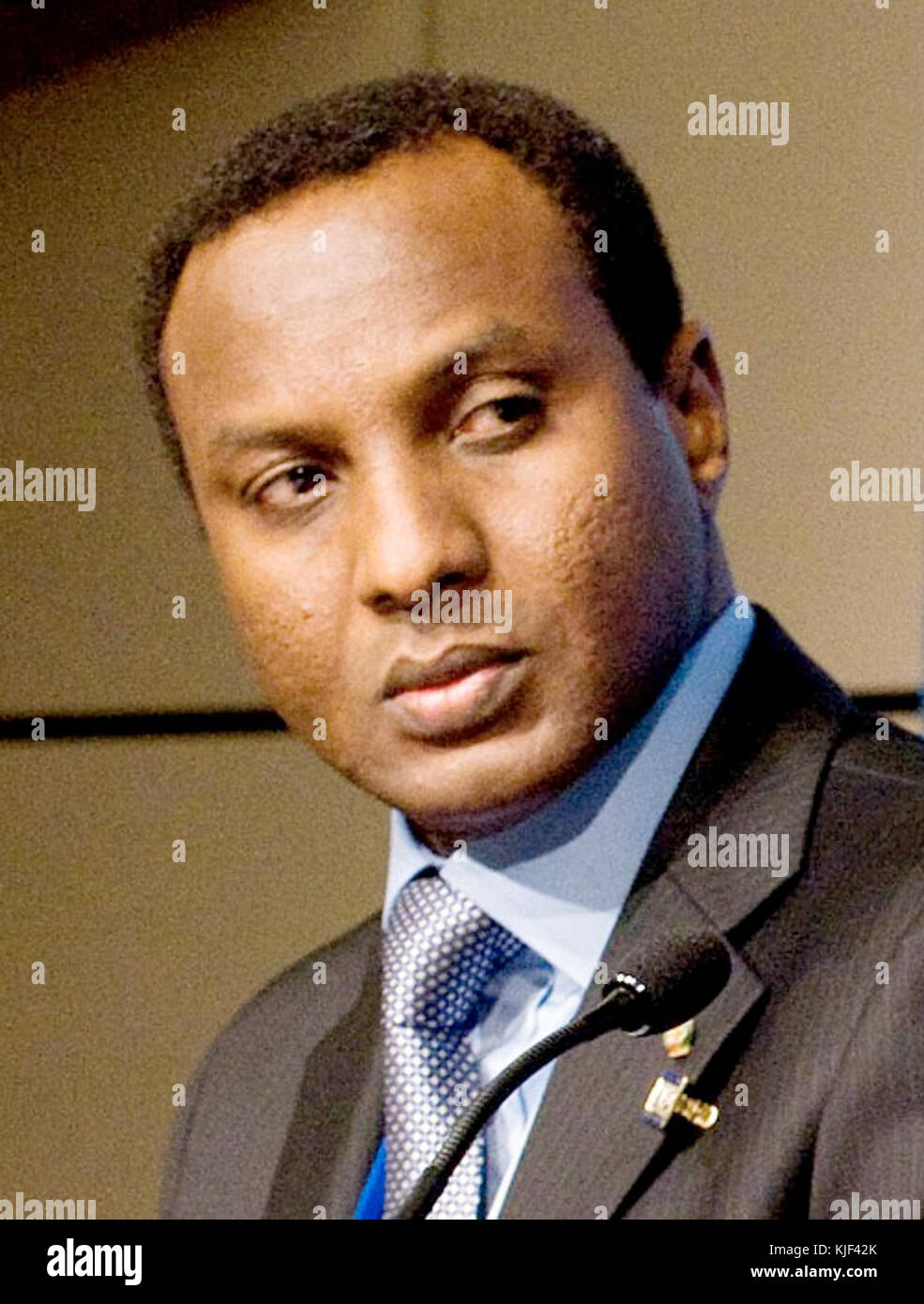 Ali Lamine Zeine, IMF 2008 Stock Photo - Alamy