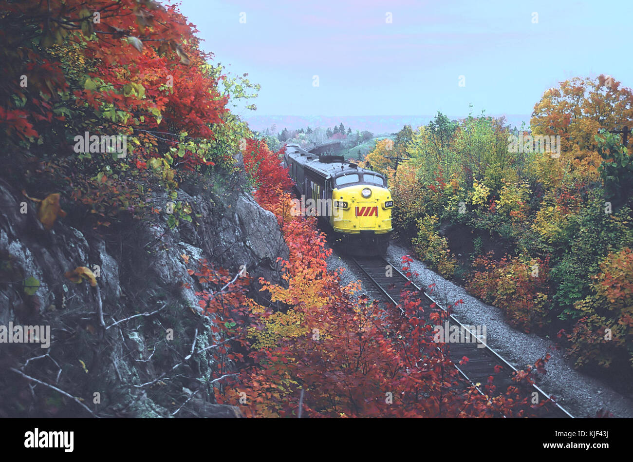 VIA 6540 in October 1981 (24278118080 Stock Photo - Alamy