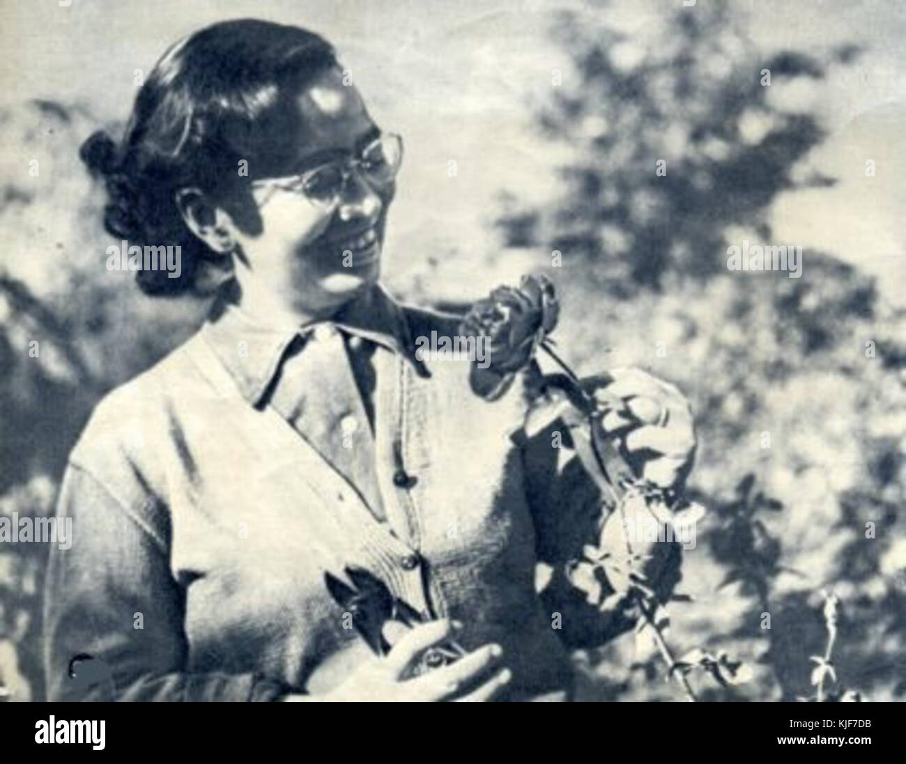 Jiang En Dian looking at flower Stock Photo - Alamy