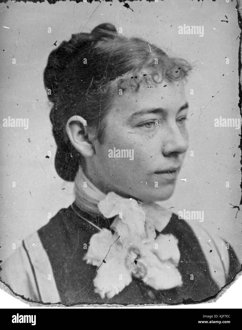 Susan Reynolds Crease Stock Photo - Alamy