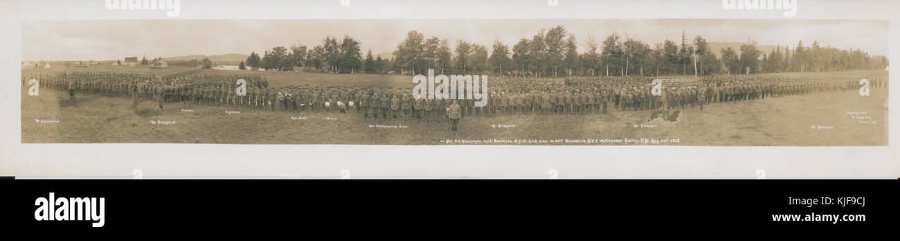 Lt. Col. F.A. Gascoigne and officers, NCO's and men of 60th Battalion ...