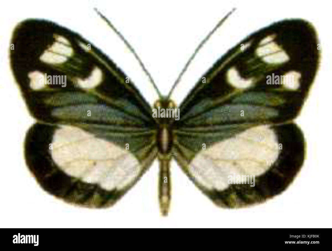 Tellervo hi-res stock photography and images - Alamy