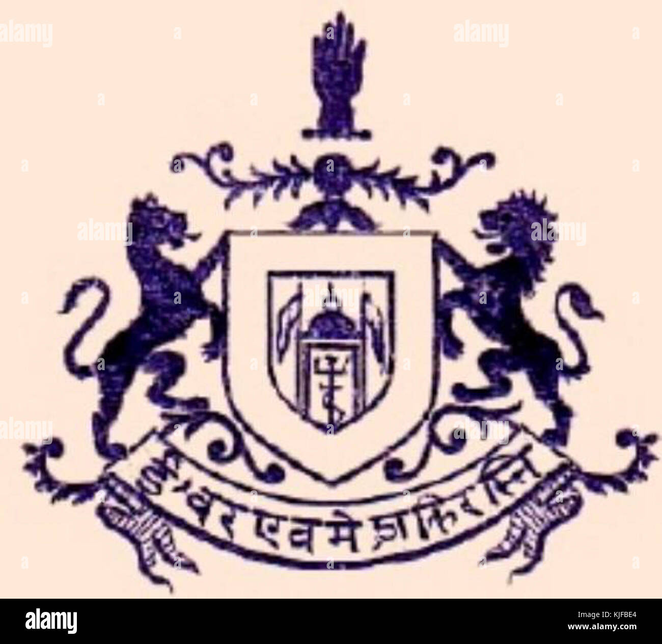 The Coat of Arms of Limbdi State, showcasing the design and symbolic ...