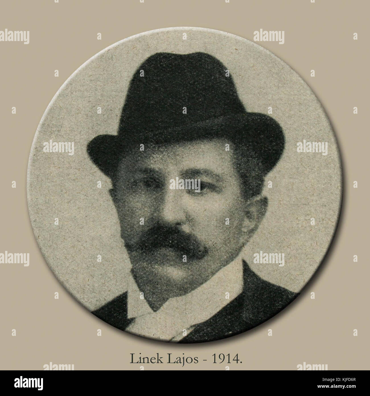 This image shows an article by Lajos Linek from 1914, published in ...