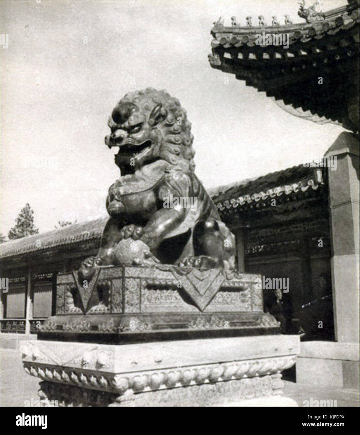 Guardian lion statue Stock Photo - Alamy