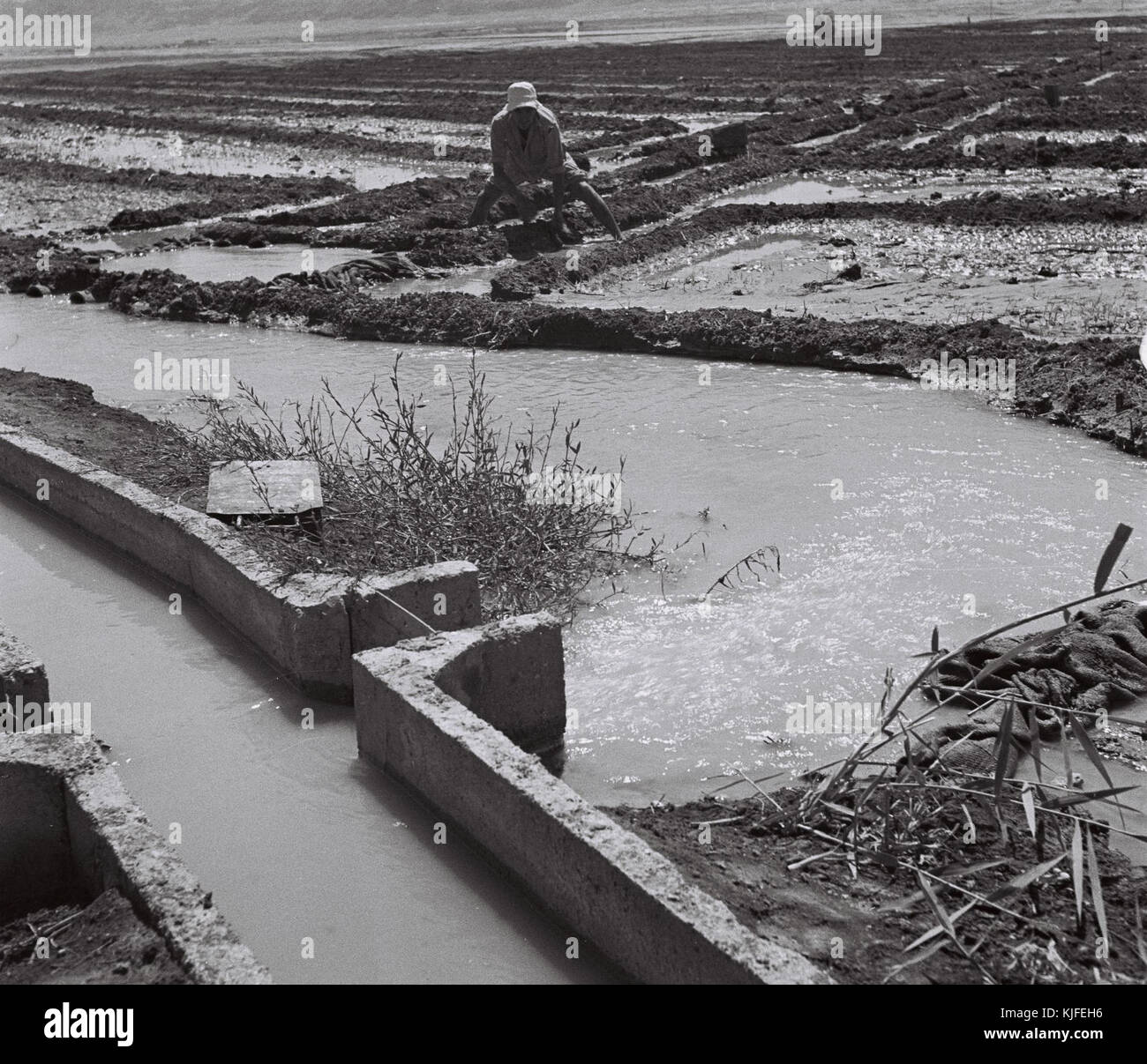 A MEMBER OF KIBBUTZ BEIT HAARAVA CHANNELLING WATER FROM THE JORDAN ...