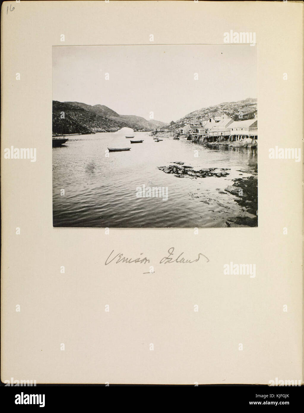 Venison Island High Resolution Stock Photography and Images - Alamy