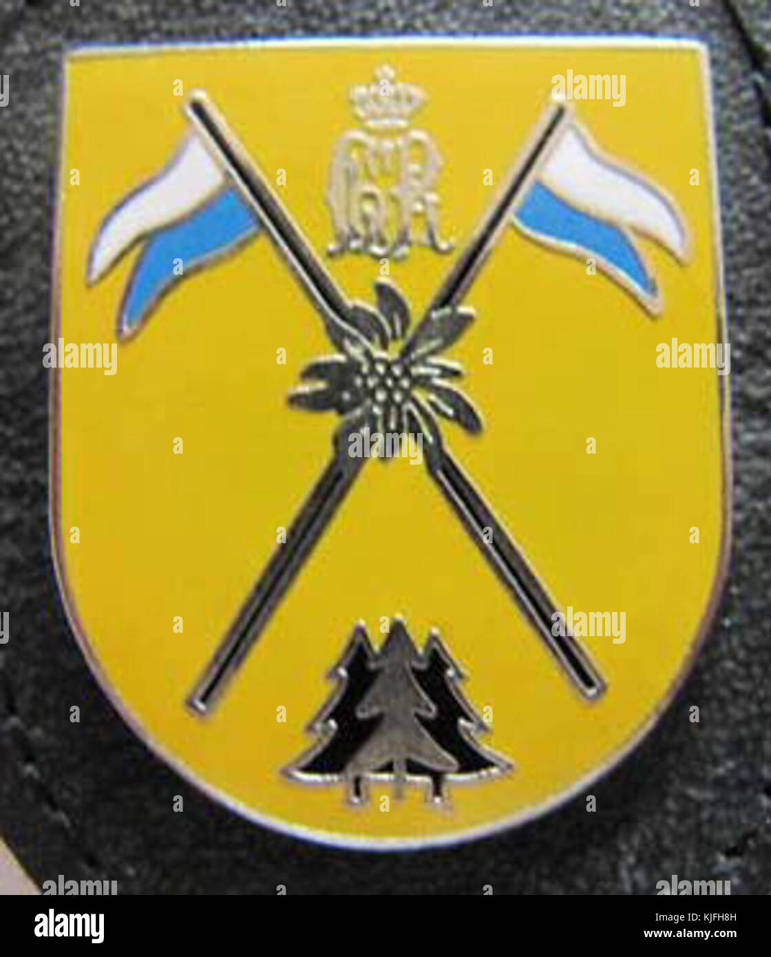 8th Reconnaissance Batallion Unit Badge Stock Photo - Alamy