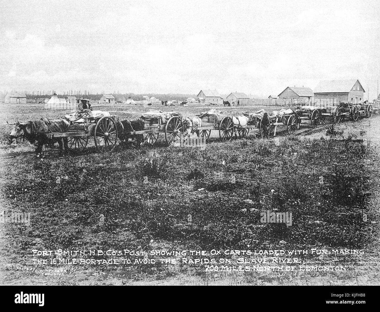 Ox carts carrying goods on the portage at Fort Smith, NWT Stock Photo ...