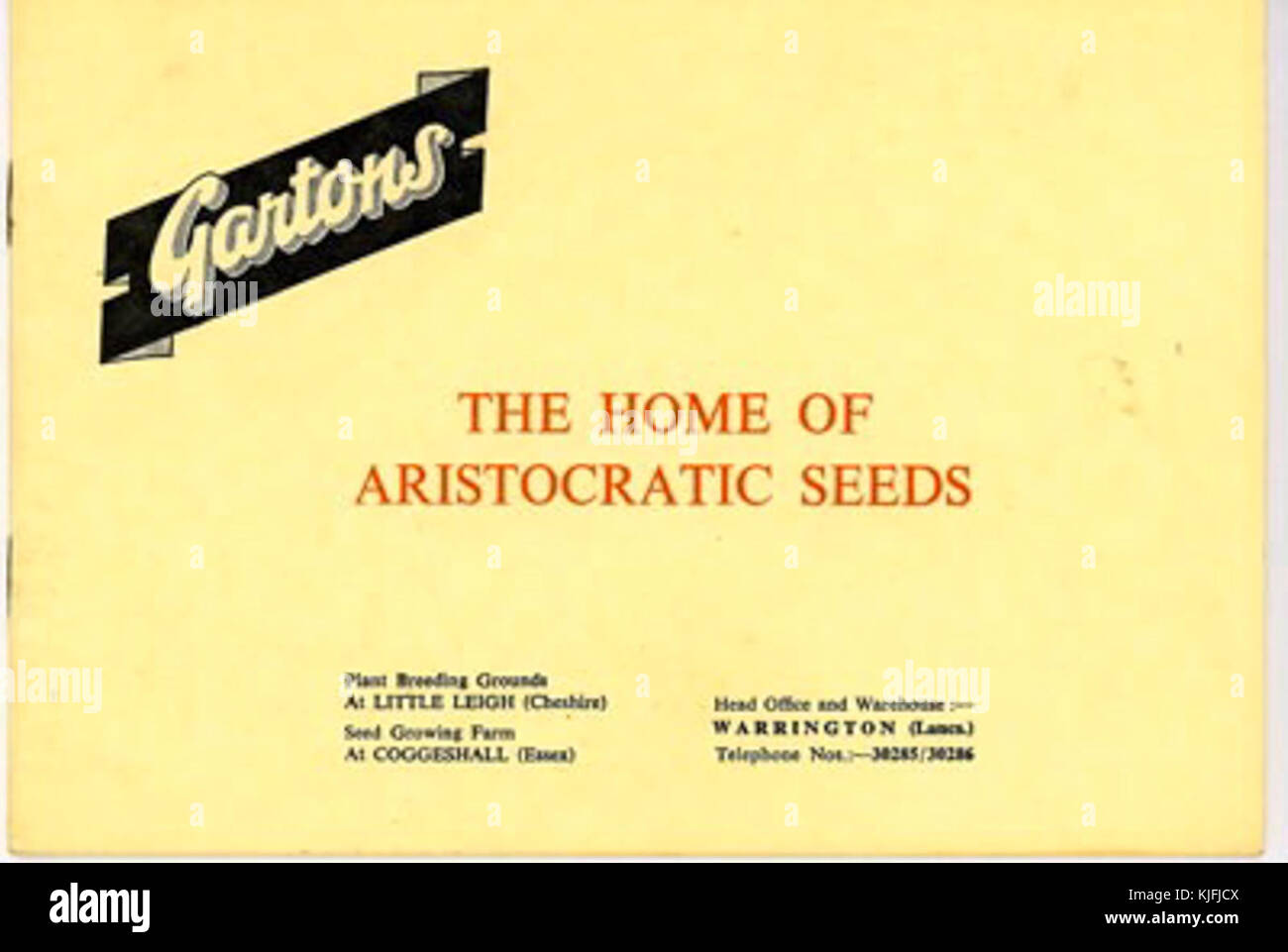 Gartons Aristocratic Seeds Stock Photo - Alamy