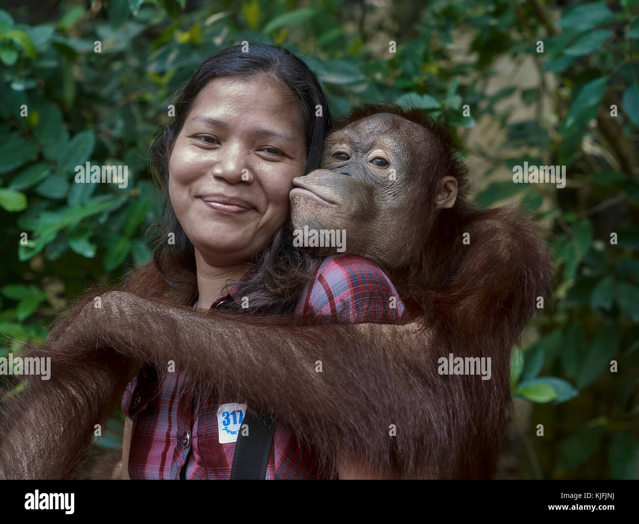 Wildlife interacting with humans hi-res stock photography and images ...