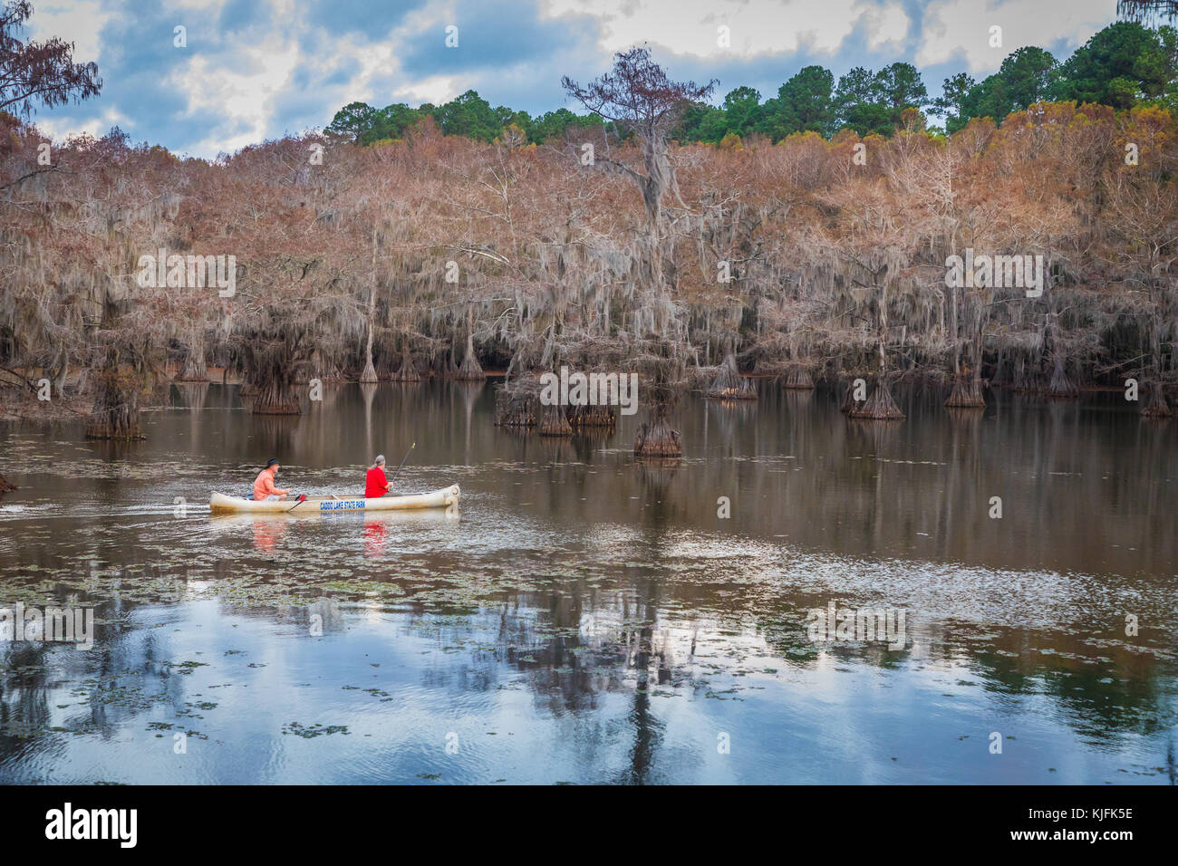 Caddo Lake is a lake and wetland located on the border between Texas ...