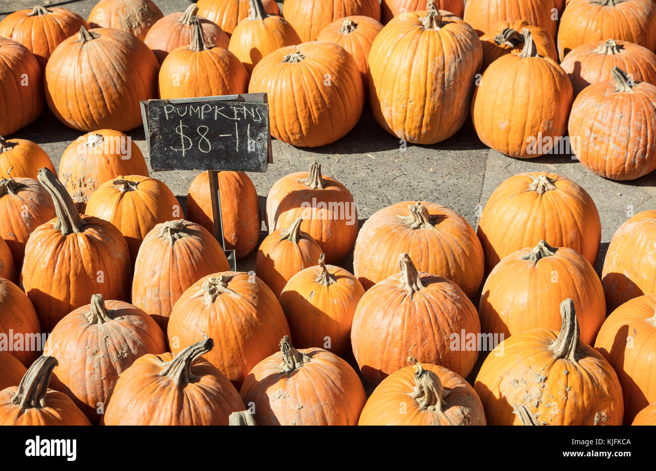 Large pumpkins for sale at Union Square Market New York Stock Photo - Alamy