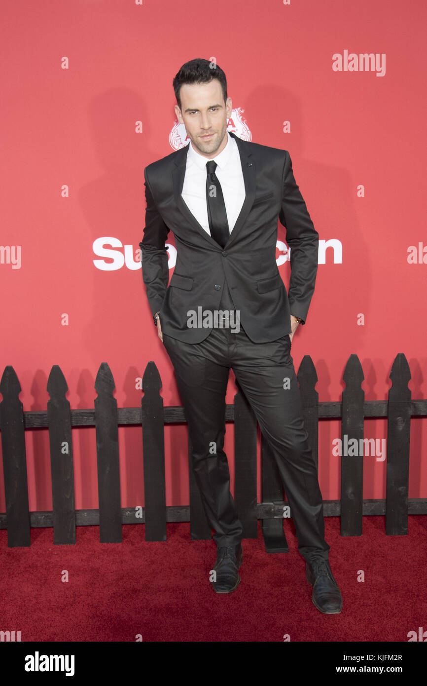 Premiere of 'Suburbicon' at Regency Village Theater in the Westwood neighbourhood of Los Angeles ...