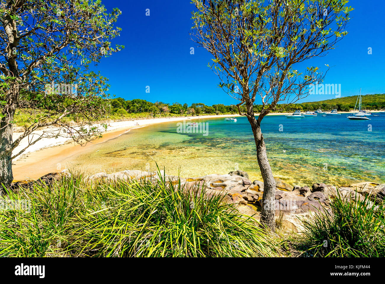 Jibbon Beach, Royal National Park, New South Wales, Australia Stock ...