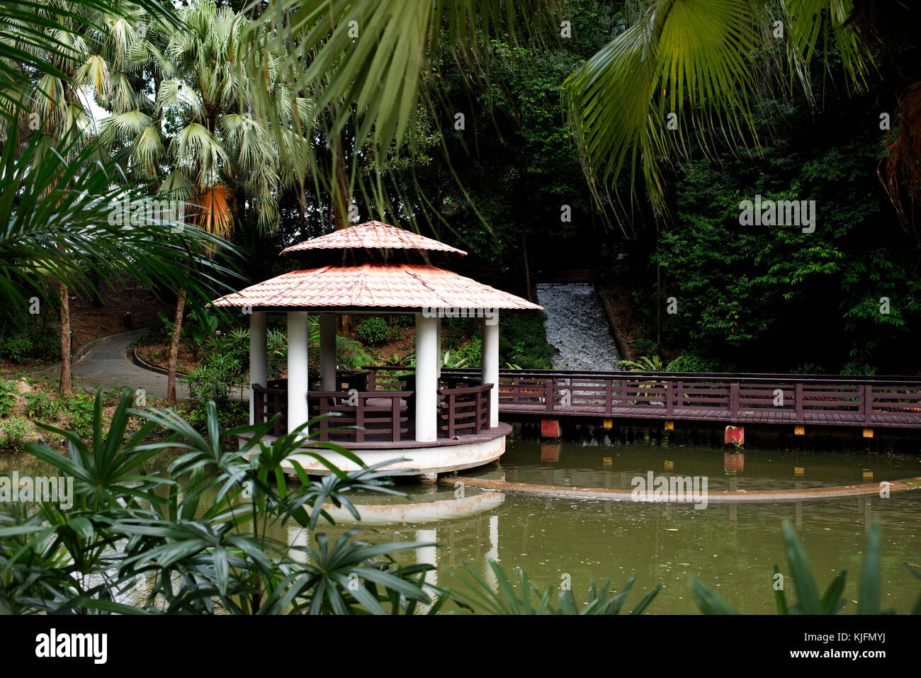 Large pond at the Singapore science Park Two, West Coast, Singapore ...