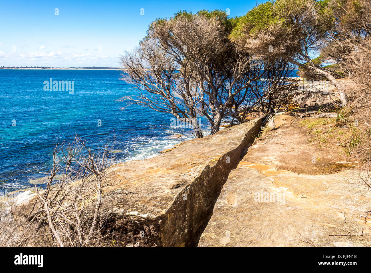 Jibbon Loop Track, Royal National Park, New South Wales, Australia ...