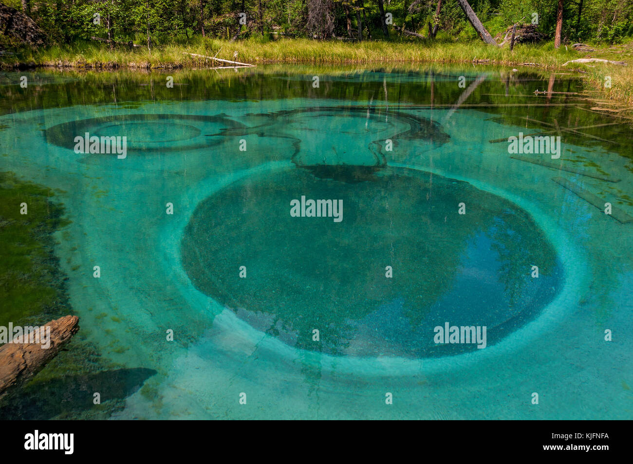 Beautiful forest geyser lake with clear turquoise water and stains on ...