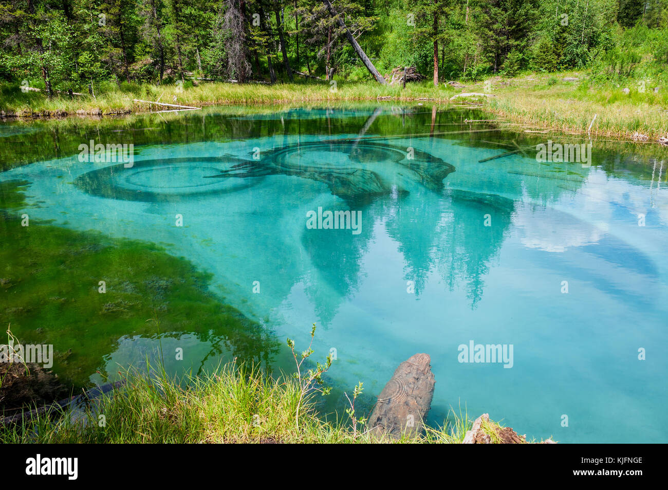 Beautiful forest geyser lake with clear turquoise water and stains on ...