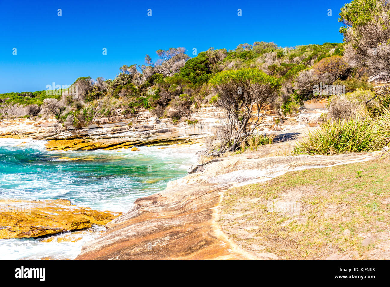 Little Jibbon Beach, Royal National Park, New South Wales, Australia ...