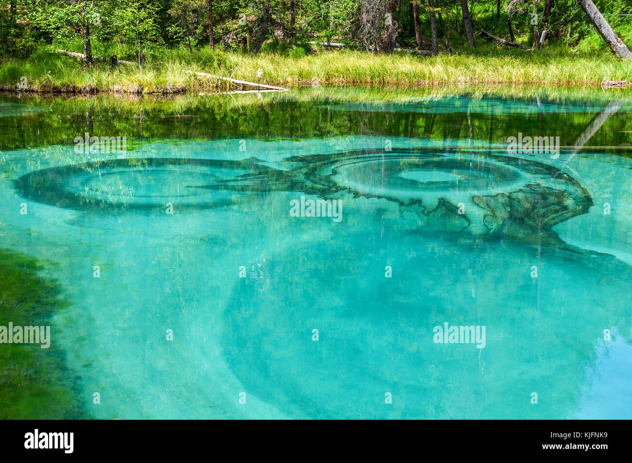 Beautiful forest geyser lake with clear turquoise water and stains on ...