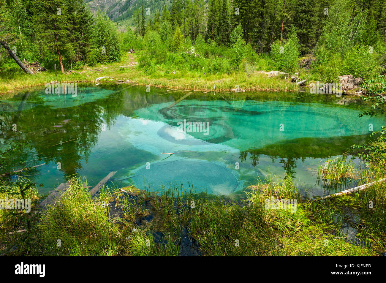 Beautiful forest geyser lake with clear turquoise water and stains on ...