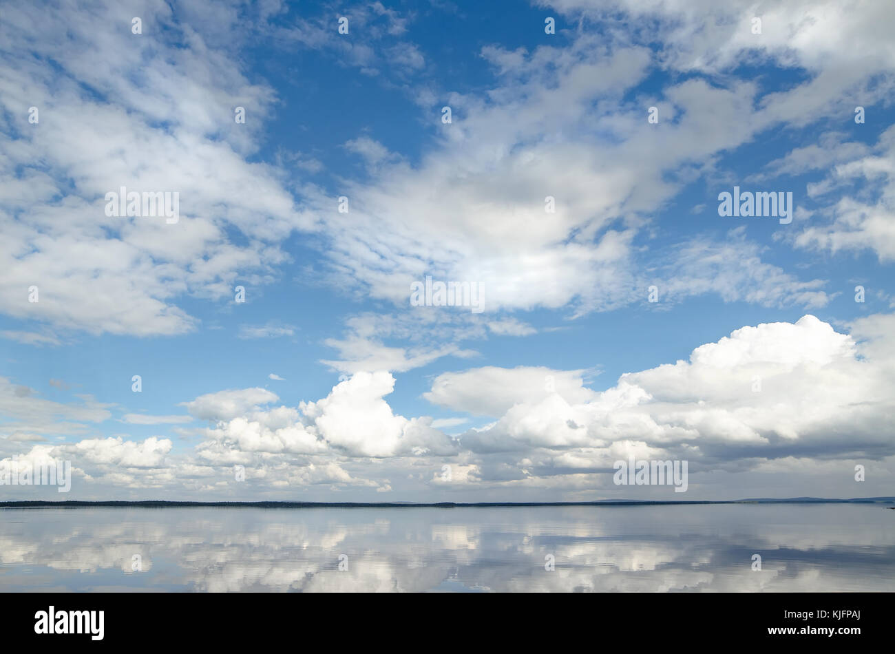 Wooded shore of a large lake. Forests along the coast. Kola Peninsula ...