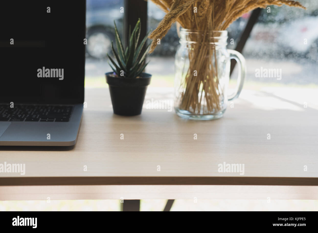 computer notebook, plant pot on wood desk. laptop at office workplace ...