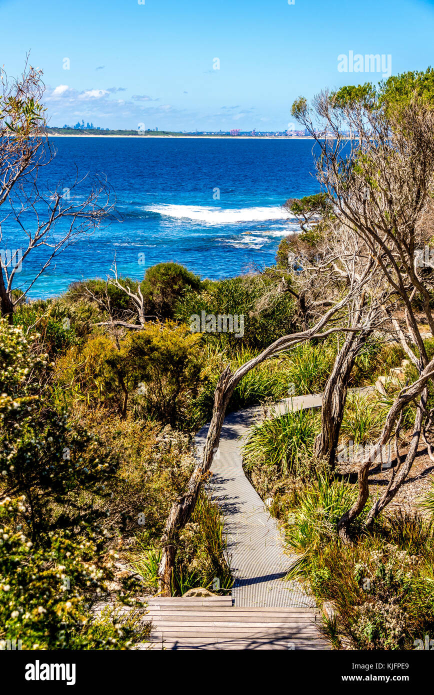 Jibbon loop track hi-res stock photography and images - Alamy