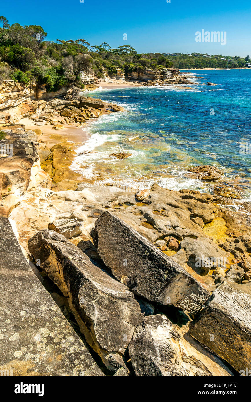 Jibbon Loop Track, Royal National Park, New South Wales, Australia ...