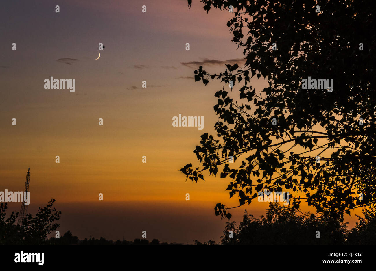 Summer sunset trees nature river Stock Photo - Alamy