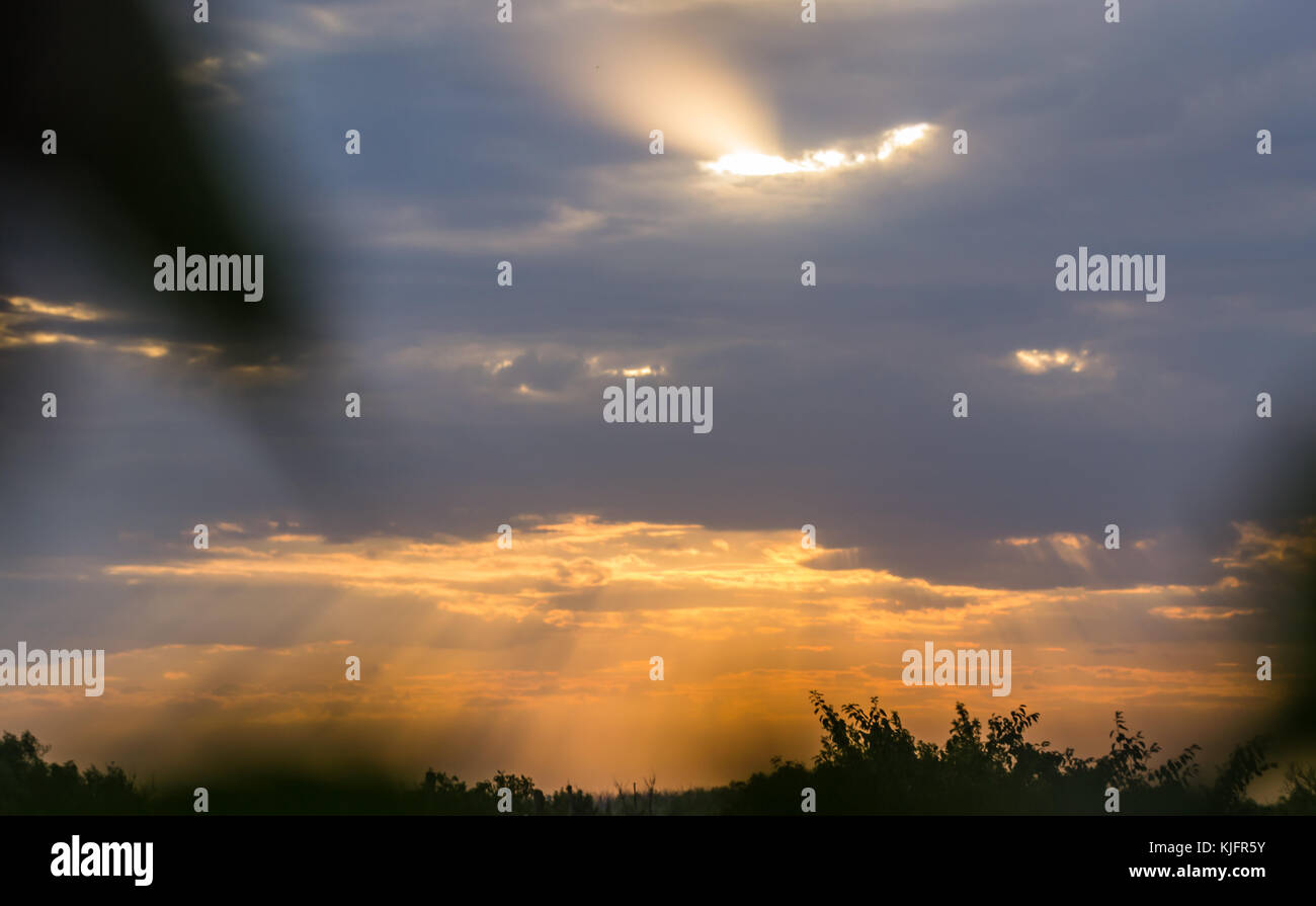 Summer sunset trees nature river Stock Photo - Alamy