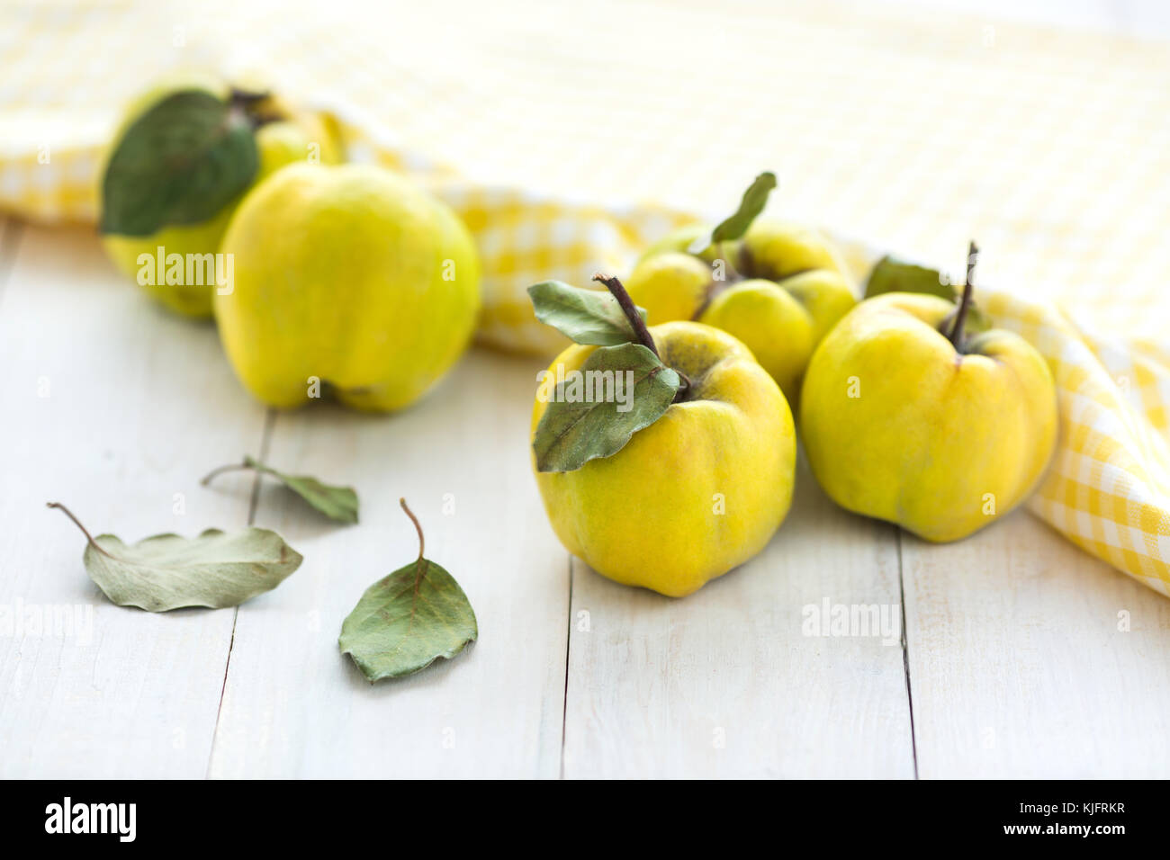 wealth, crop, cornucopia concept. on the shining white surface of the ...