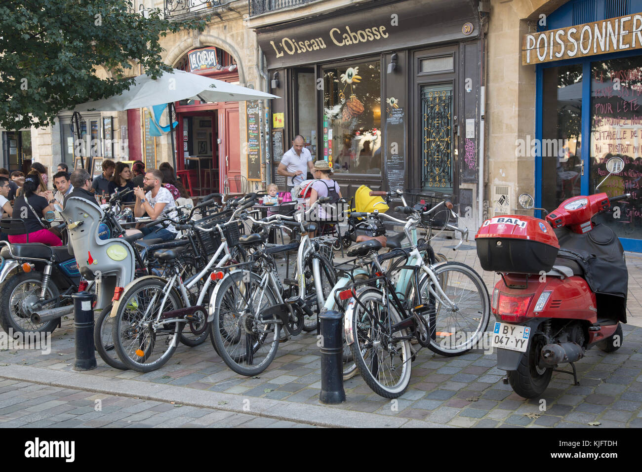 Oiseau colombe hi-res stock photography and images - Alamy