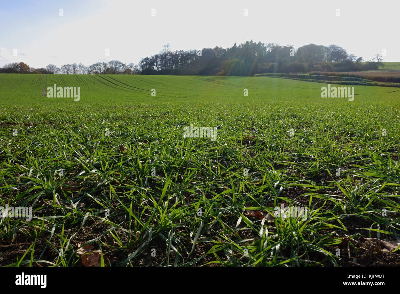 Ground level view hi-res stock photography and images - Alamy