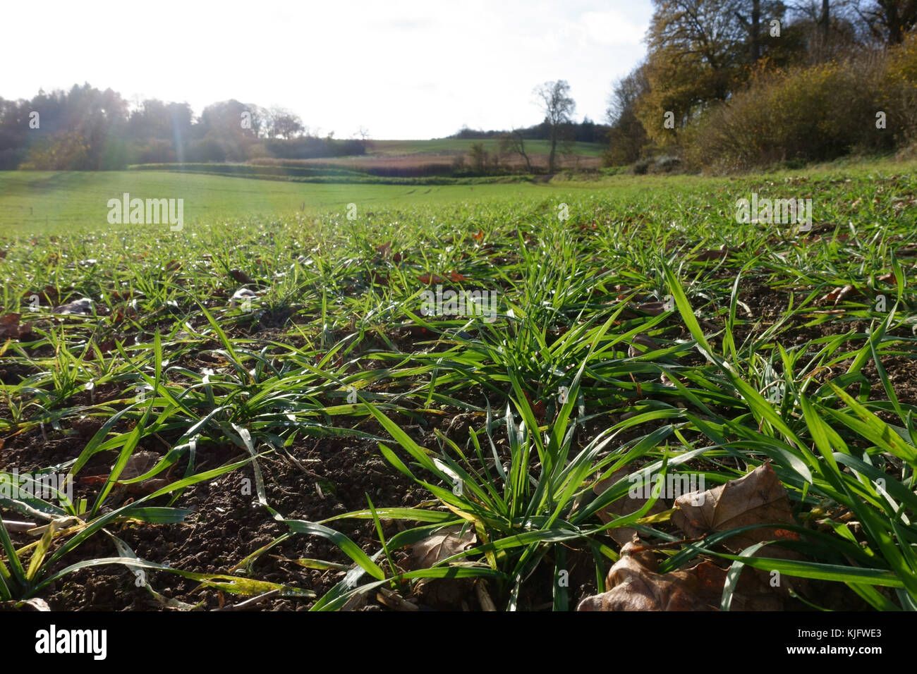 Ground level view hi-res stock photography and images - Alamy