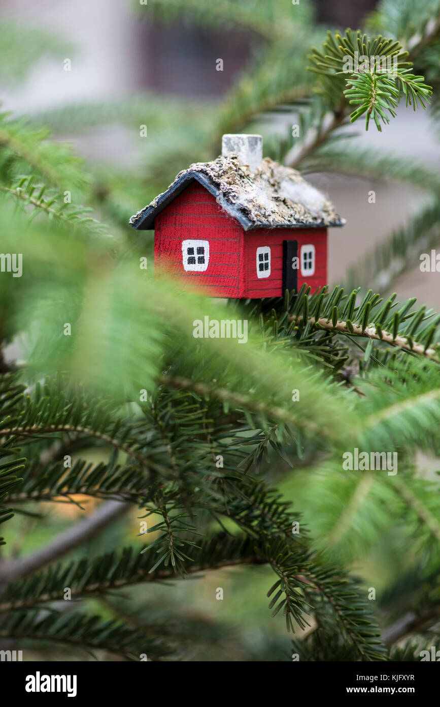 House miniature on fir tree. Small red house on tree branch Stock Photo ...