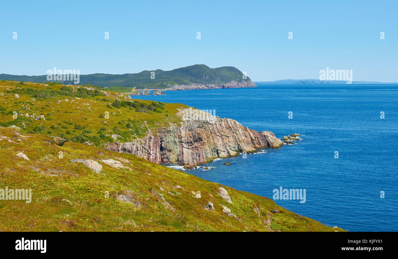 Atlantic coast of Canada, Avalon Peninsula, Newfoundland, Canada Stock ...