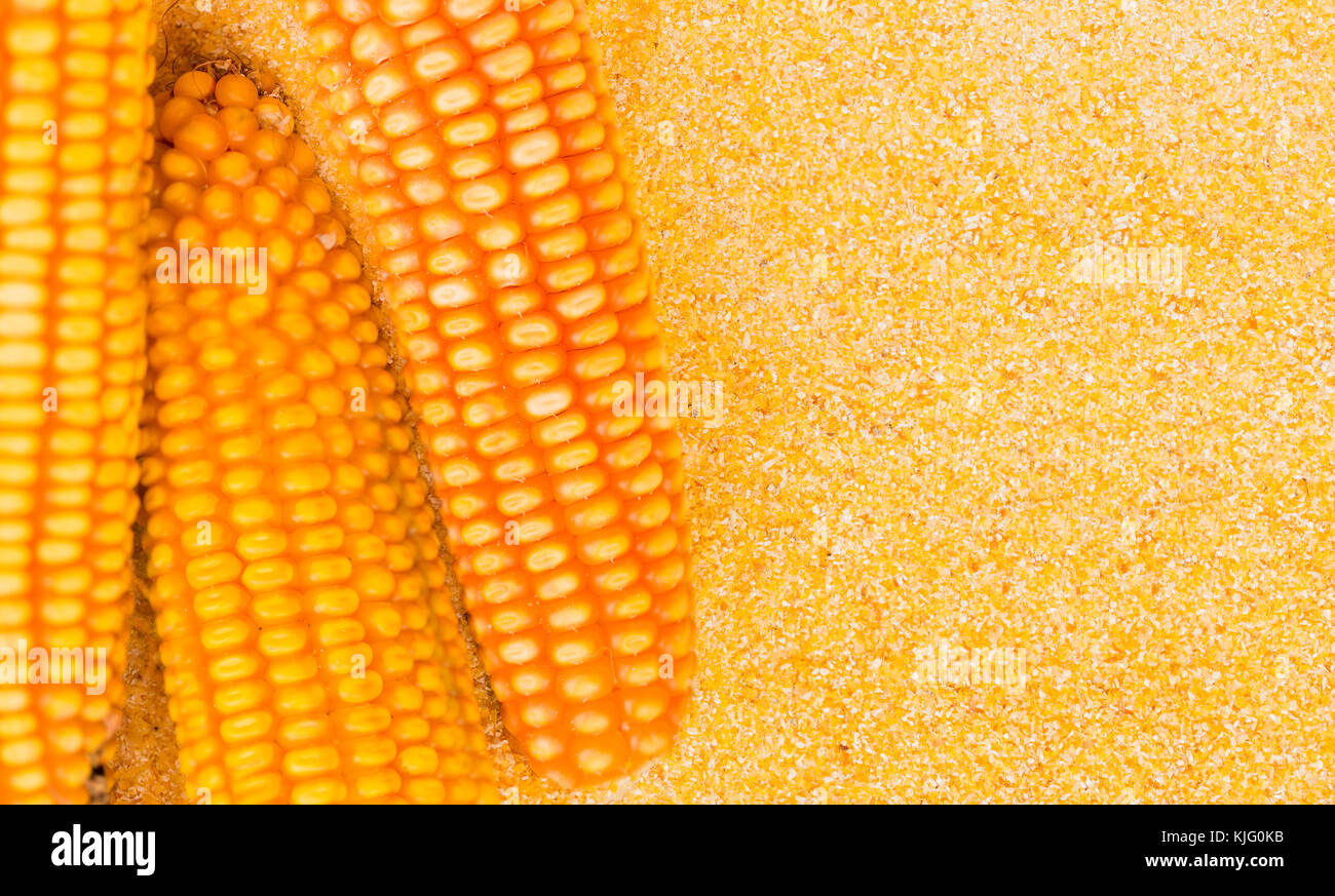 Corn seeds texture and maize flour.Useful as food , agriculture ...